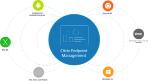 Citrix workspace פתרונות מובילים לסביבת עבודה מתקדמת וחוויתית